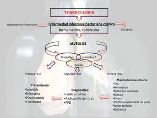 Sistema respiratorio | PDF