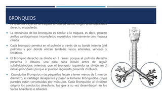 Sistema Respiratorio | PPTX