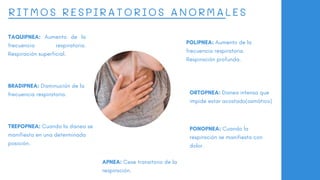 SISTEMA RESPIRATORIO- SEMIOLOGIA (1).pdf