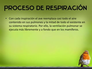 sistema respiratorio aves.pptx