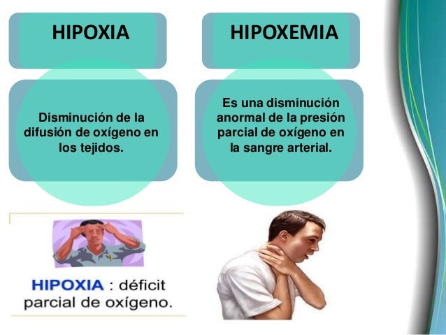 morfofisiología del sistema respitario