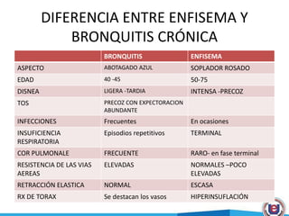 Sistema respiratorio p | PPT