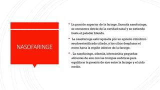 SISTEMA RESPIRATORIO PORCION CONDUCTORA.pptx