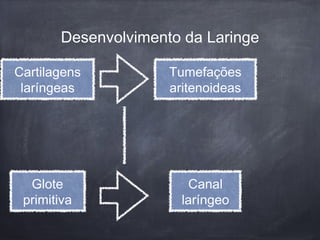 Embriologia do Sistema Respiratório | PPT