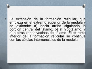 Sistema reticular | PPTX