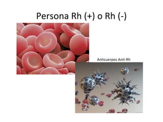 Sistema rh | PPT