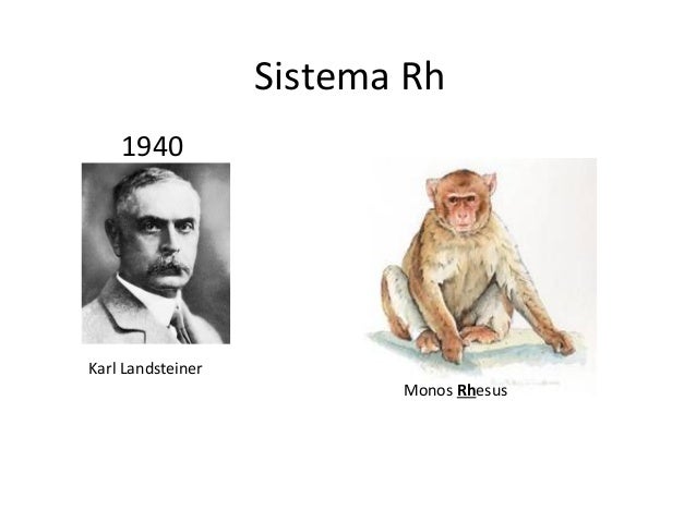 Sistema rh