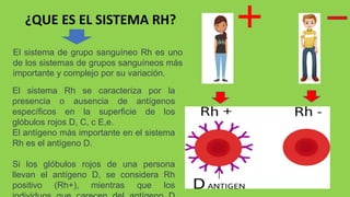 sistema rh.pptx