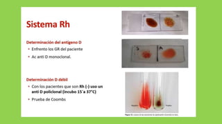 sistema rh.pptx