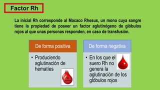 sistema rh.pptx