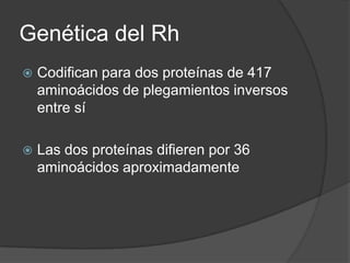 Sistema rh consideraciones genéticas | PPTX