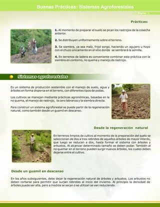 Sistemas agroforestales | PDF