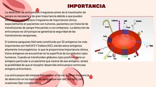 Sistema sanguineo Kell.pptx (1).pdf
