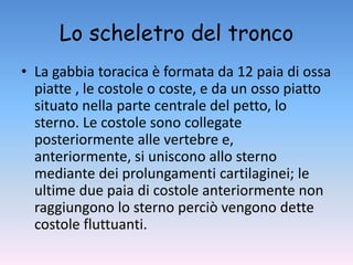 sistema scheletrico Scoppa Valeria - Ilardi Lorenza 2c.pptx