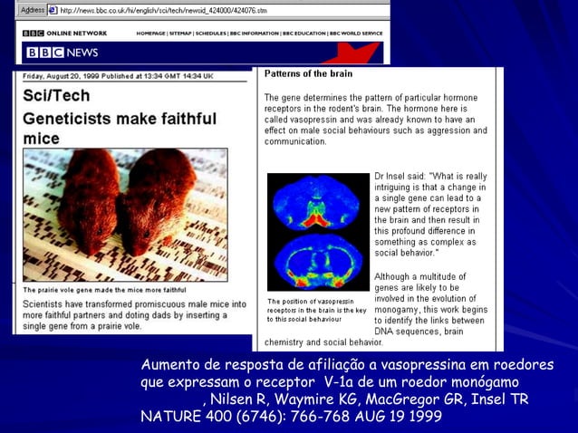 Sistemas de acasalamento | PDF