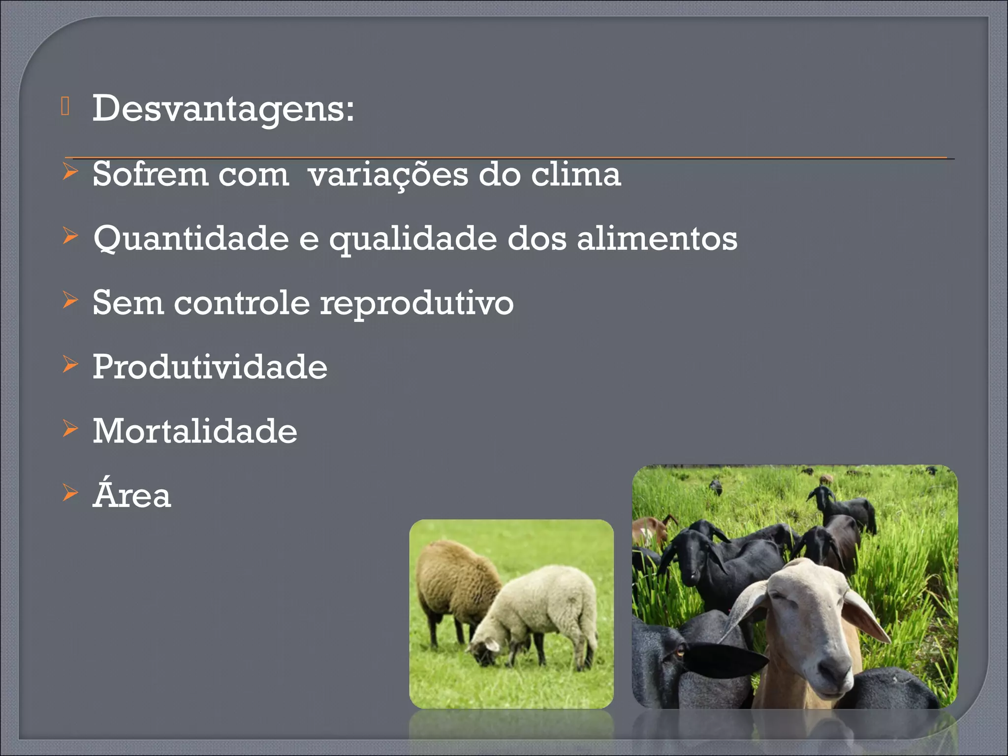 Sistemas de criação e instalações para caprinos e ovinos - caprinos e ...