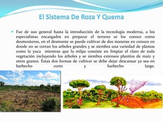 Sistemas de cultivos | PPTX