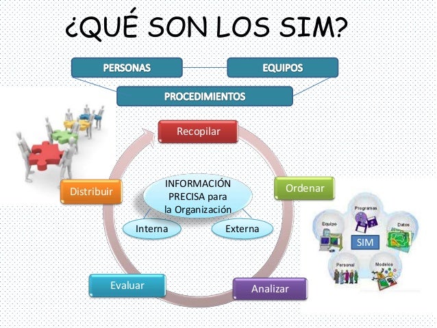 CONCEPTO Y APLICACIÓN DE LOS SIM