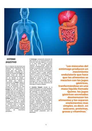Sistemas del cuerpo humano | PDF