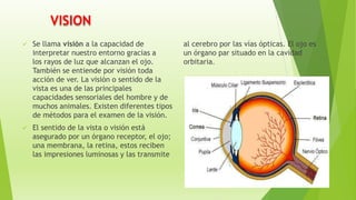 Sistemas del cuerpo humano diapositivas paula murillo | PPT