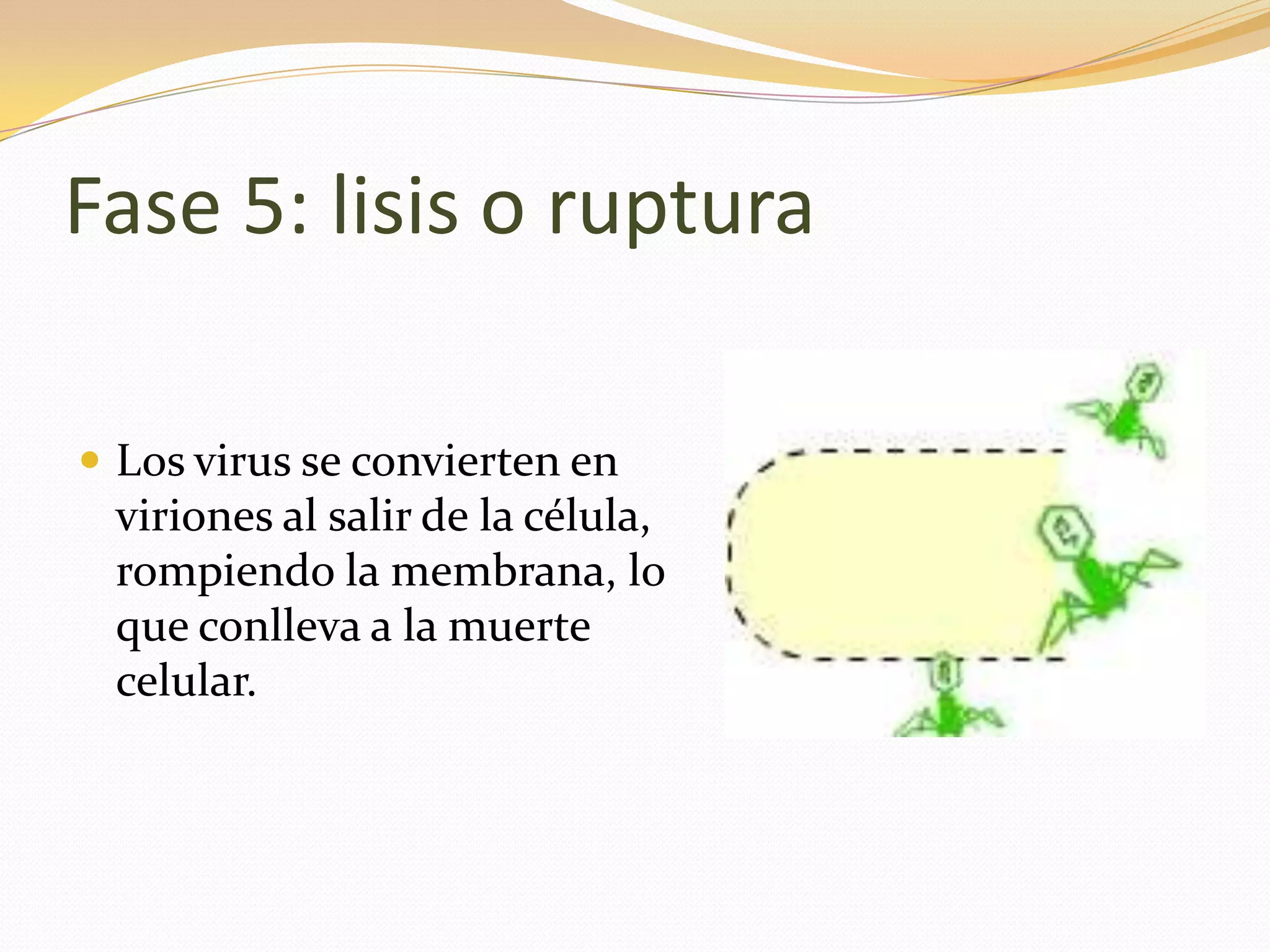 Sistemas de replicación de virus | PPTX