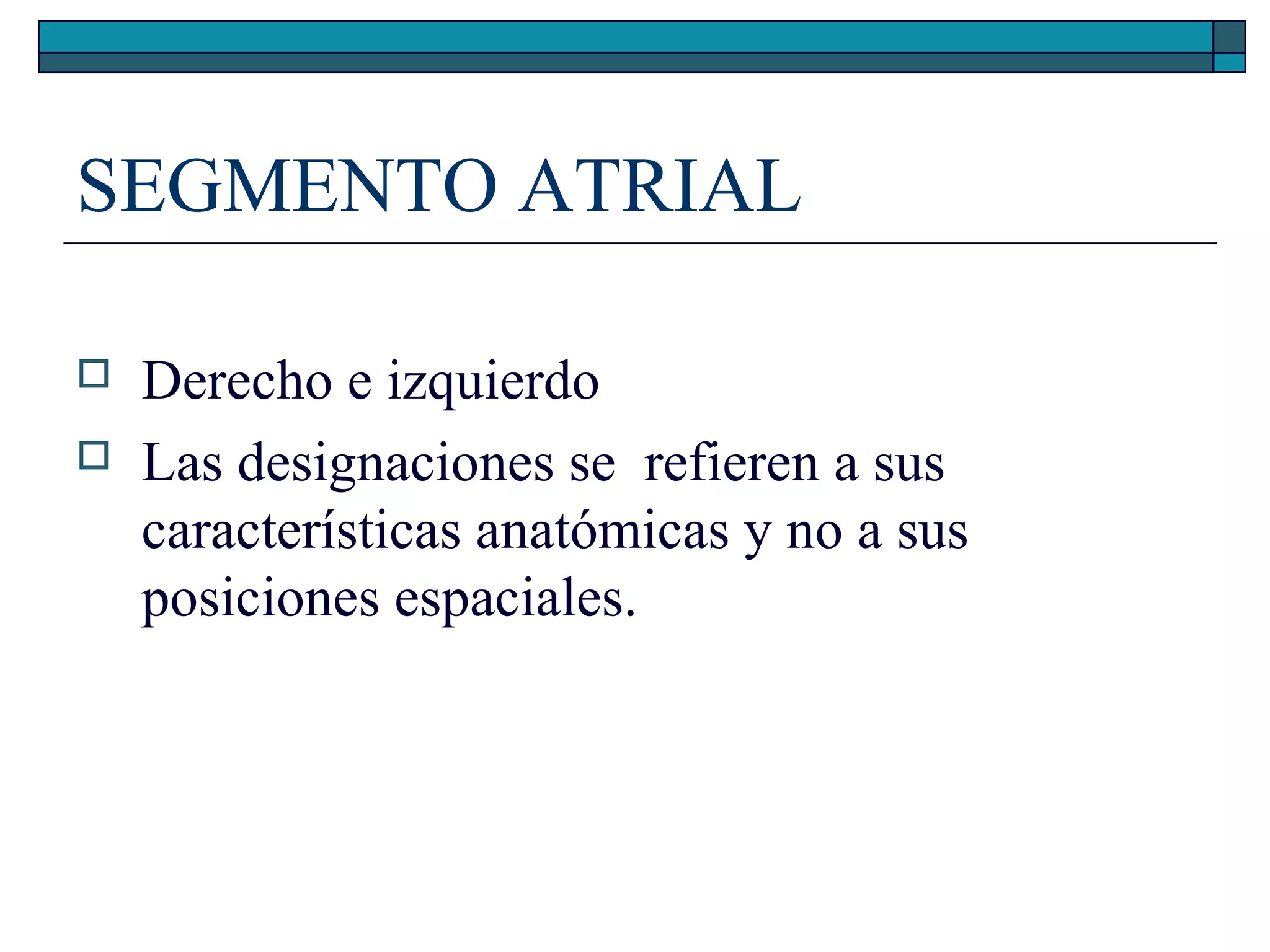 Sistema secuencial segmentario2 | PPT