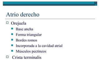 Sistema secuencial segmentario2 | PPT