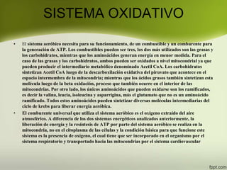 SISTEMAS ENERGETICO-PRESENTACION.ppt