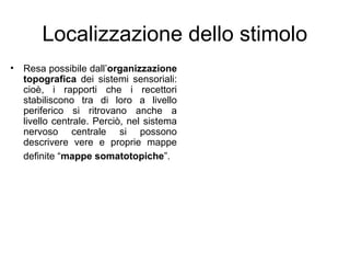 Sistema sensoriale | PPT