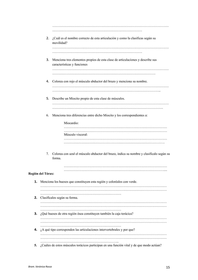 Sistema óSeo Y Muscular | PDF