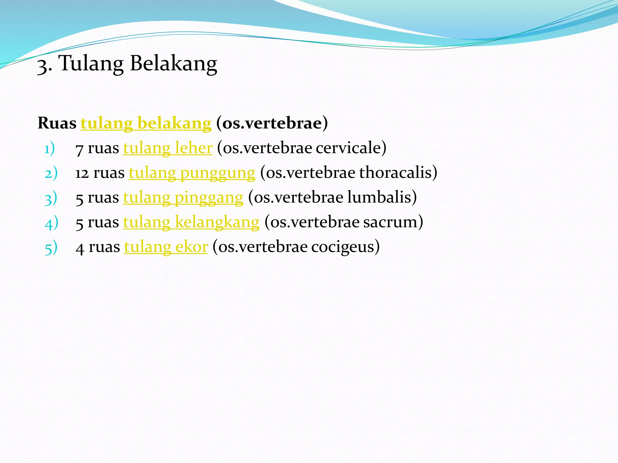 Sistema skeletal dan sendi | PPT
