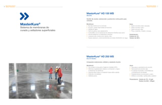 Sistemas para la construccion de Master Builders Solutions de BASF | PDF