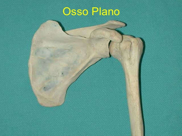 Sistema óSseo