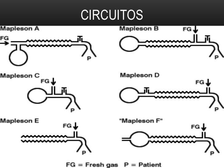 Sistemas y circuitos anestesicos