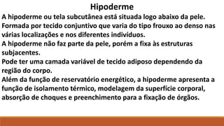 Sistema tegumentar e estruturas anexas.pdf