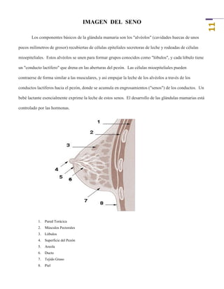 Sistema Tegumentario del CPT | PDF