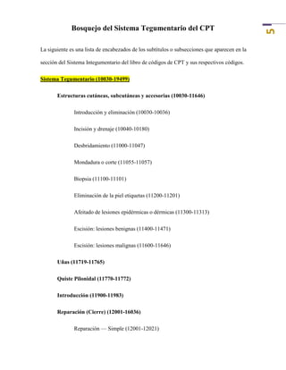Sistema Tegumentario del CPT | PDF | Skin and Dermatology | Diseases ...