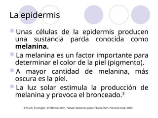 SISTEMA_TEGUMENTARIO (piel, partes que conforman la piel ).ppt