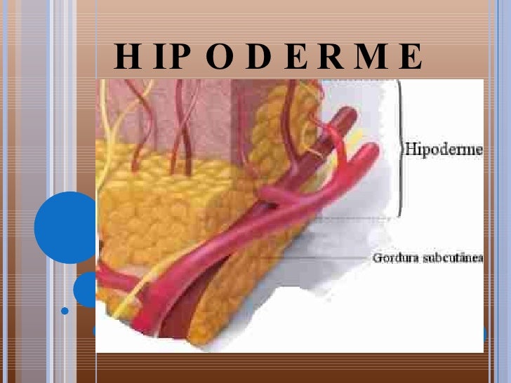 Sistema Tegumentar tati senac-ma