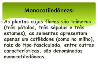 Sistemática Vegetal: Monocotiledôneas Ciências Biológicas | PPTX