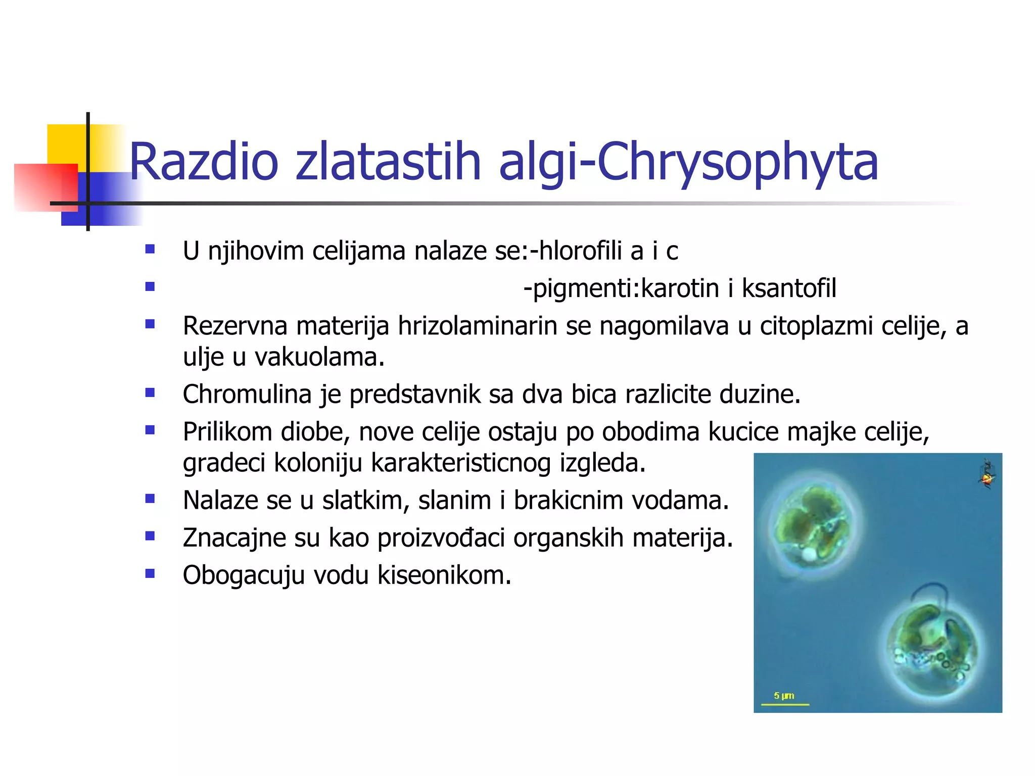 Sistematika biljaka | PPT