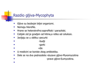 Sistematika biljaka | PPT