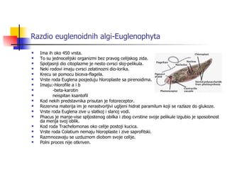 Sistematika biljaka | PPT