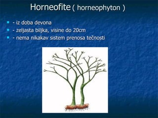 Sistematika i filogenija viših biljaka | PPT