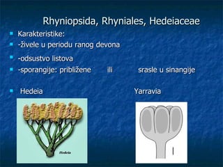 Sistematika i filogenija viših biljaka | PPT