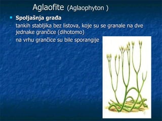 Sistematika i filogenija viših biljaka | PPT