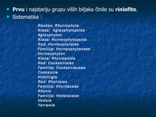 Sistematika i filogenija viših biljaka | PPT