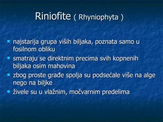 Sistematika i filogenija viših biljaka | PPT