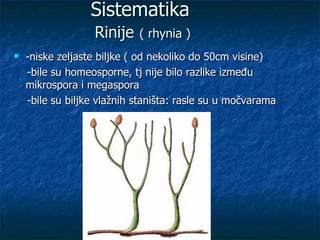 Sistematika i filogenija viših biljaka | PPT