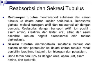 Sistema urinaria | PPTX